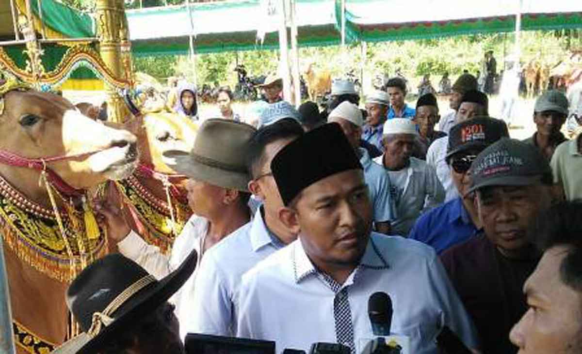 Besok, Sumenep Gelar Karapan Sapi Tanggapan 2019 - PortalMadura.com