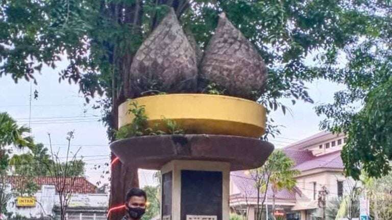 Tanaman Salak Tersisa Di Dua Desa Di Bangkalan - PortalMadura.com