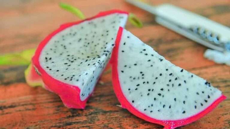 Kenali Manfaat Buah Naga Putih Yang Baik Untuk Kesehatan - PortalMadura.com