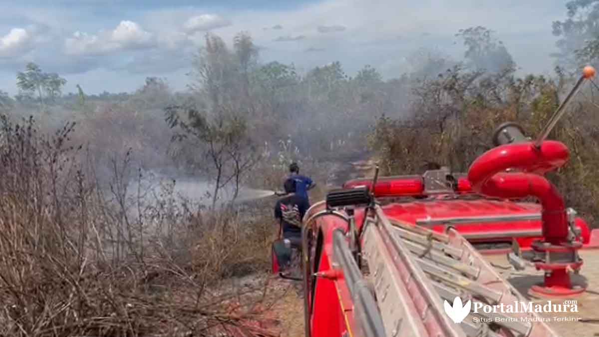 Kebakaran Hutan Kota, Petugas Gabungan Berjibaku Padamkan Api ...